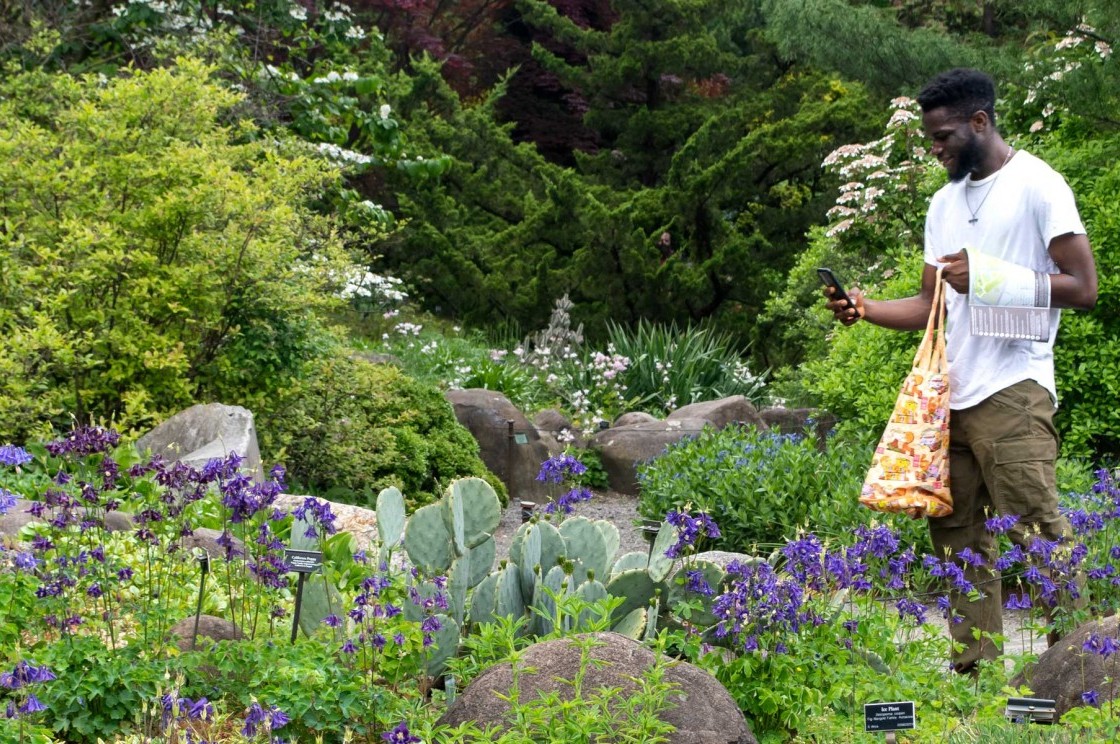 Brooklyn Botanic Garden - Brooklyn Botanic Garden