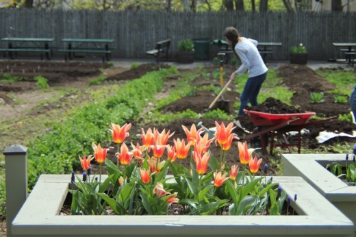 Continuing Education Classes - Brooklyn Botanic Garden