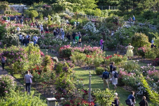 Event Calendar - Brooklyn Botanic Garden