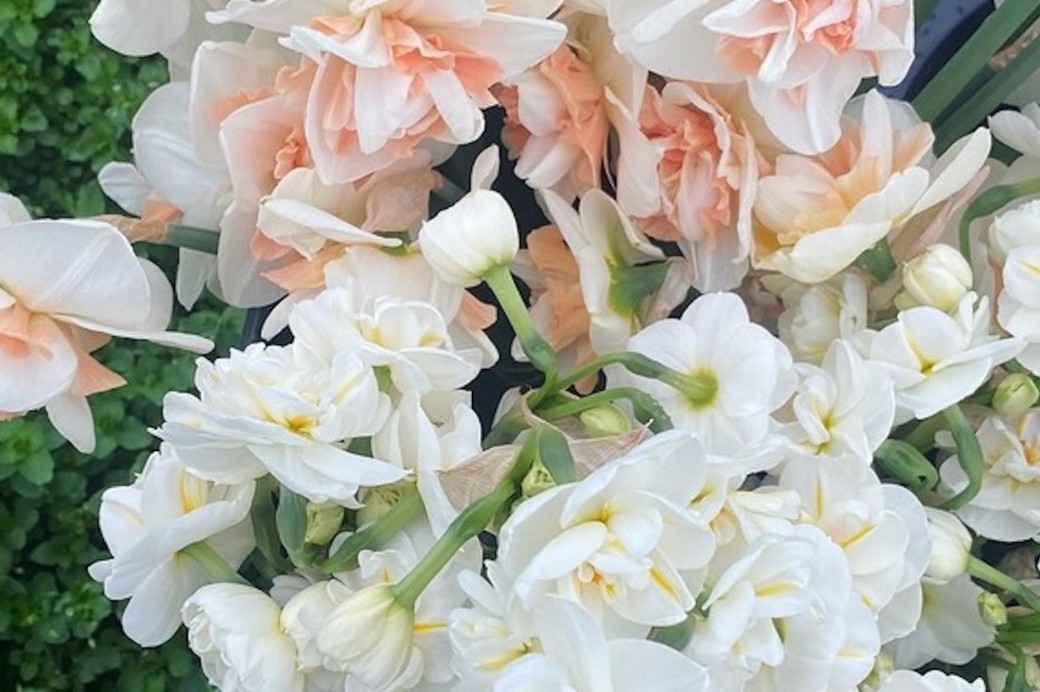 Cut Flower Gardening - Brooklyn Botanic Garden