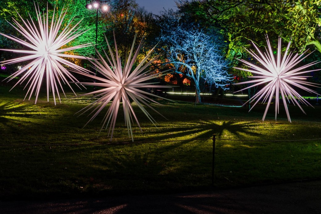 How Do We Protect the Garden’s Collection During Lightscape? - Brooklyn ...