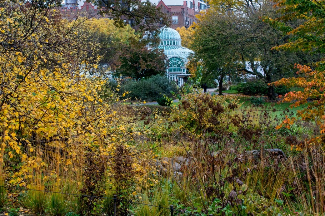 About - Brooklyn Botanic Garden