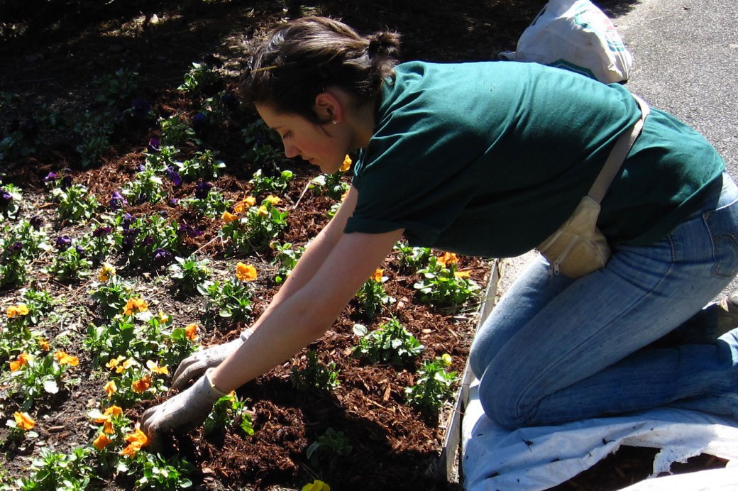 How to Use Mulch - Brooklyn Botanic Garden