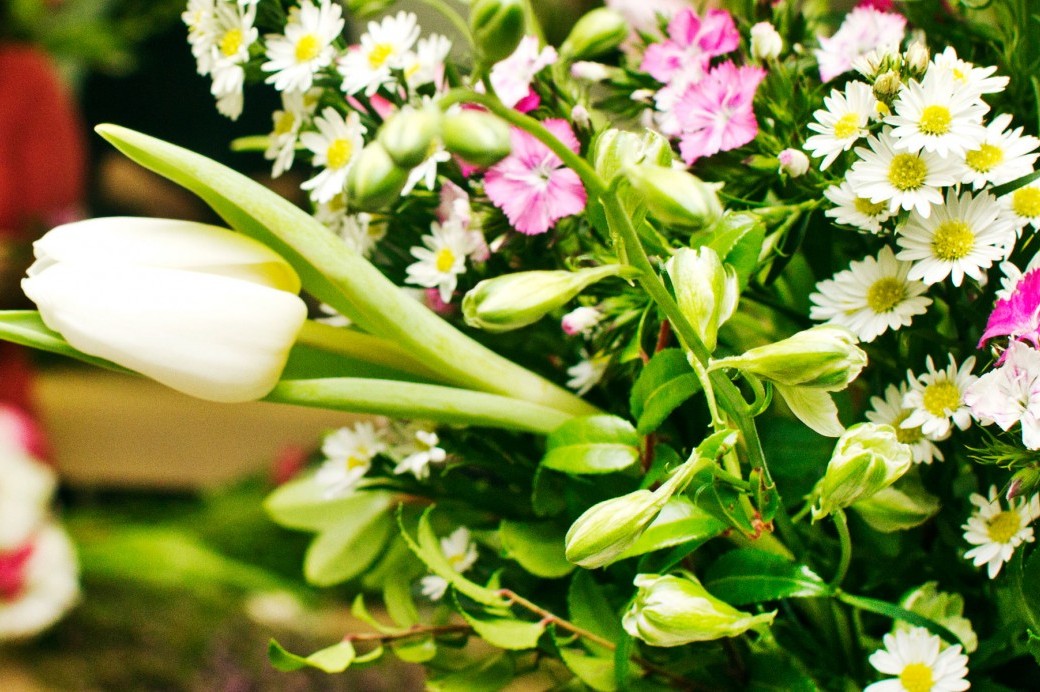 Cut-Flower Care: How to Make Fresh Flowers from Your Garden Last ...