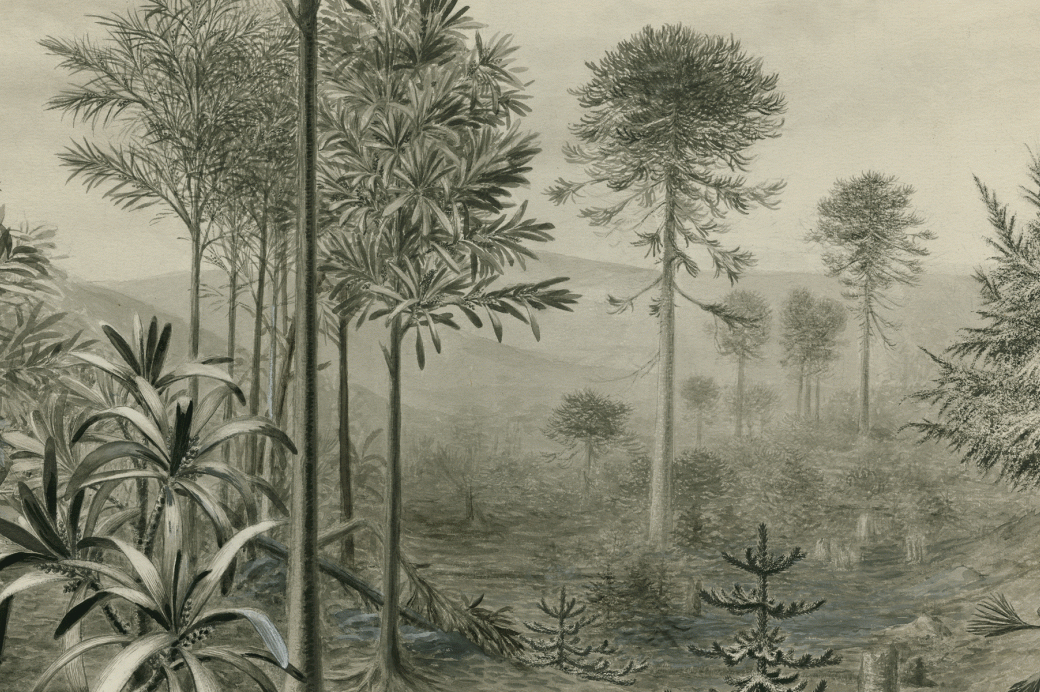 Great Moments in Plant Evolution, Part 1: Plants Invade the Land ...