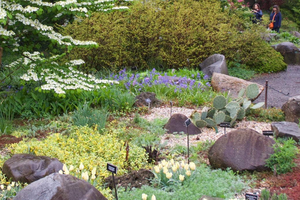Rock Garden - Brooklyn Botanic Garden