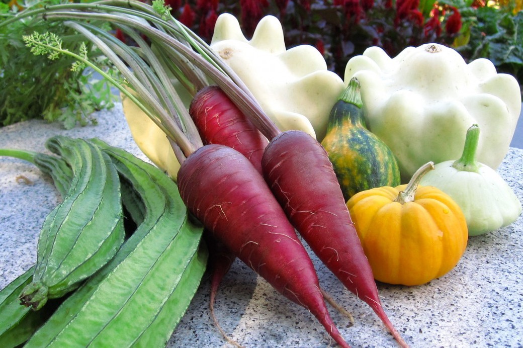 Event Calendar - Brooklyn Botanic Garden