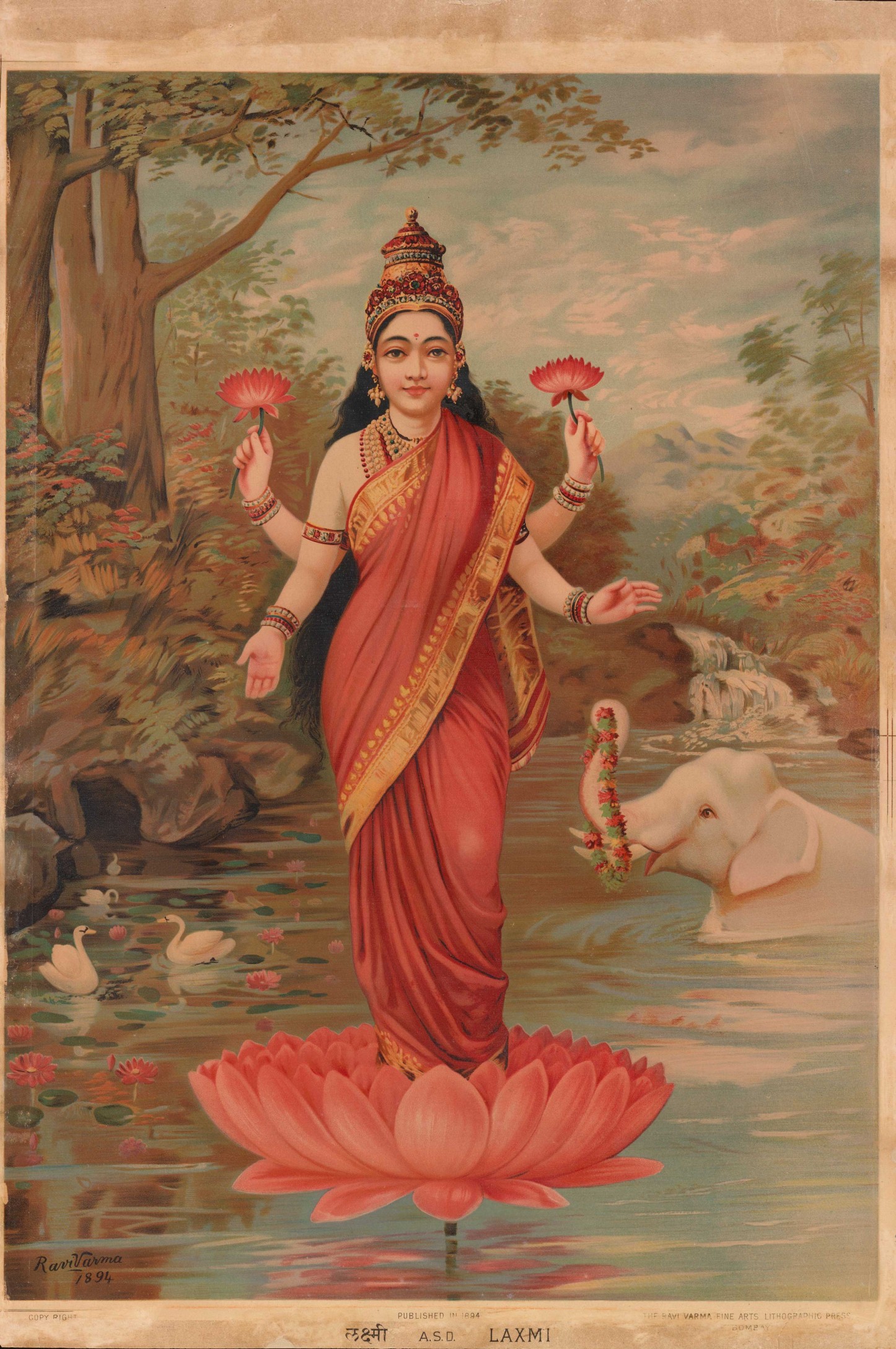 Plant Spotlight: Sacred Lotus - Brooklyn Botanic Garden