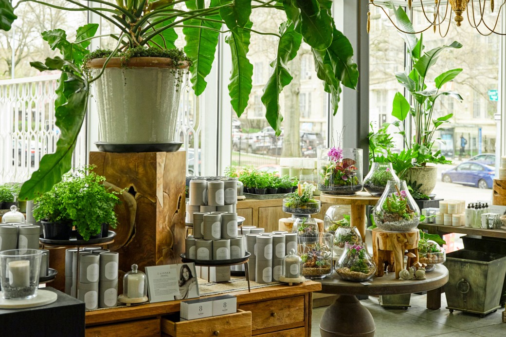 Visit - Brooklyn Botanic Garden