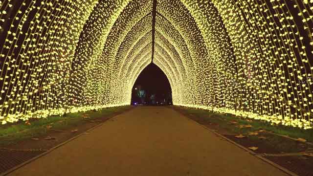 Lightscape - Brooklyn Botanic Garden