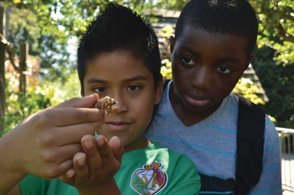 Children’s Garden - Brooklyn Botanic Garden
