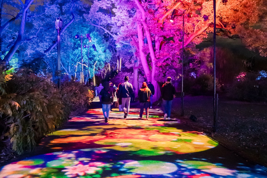 Lightscape - Brooklyn Botanic Garden